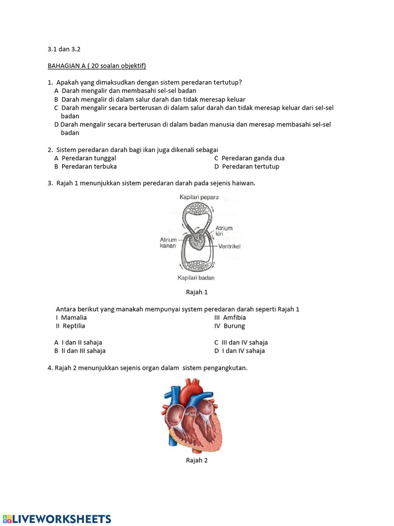 (Skema) Soalan Objektif Bab 3 (Sub 1 Dan 2) | PDF
