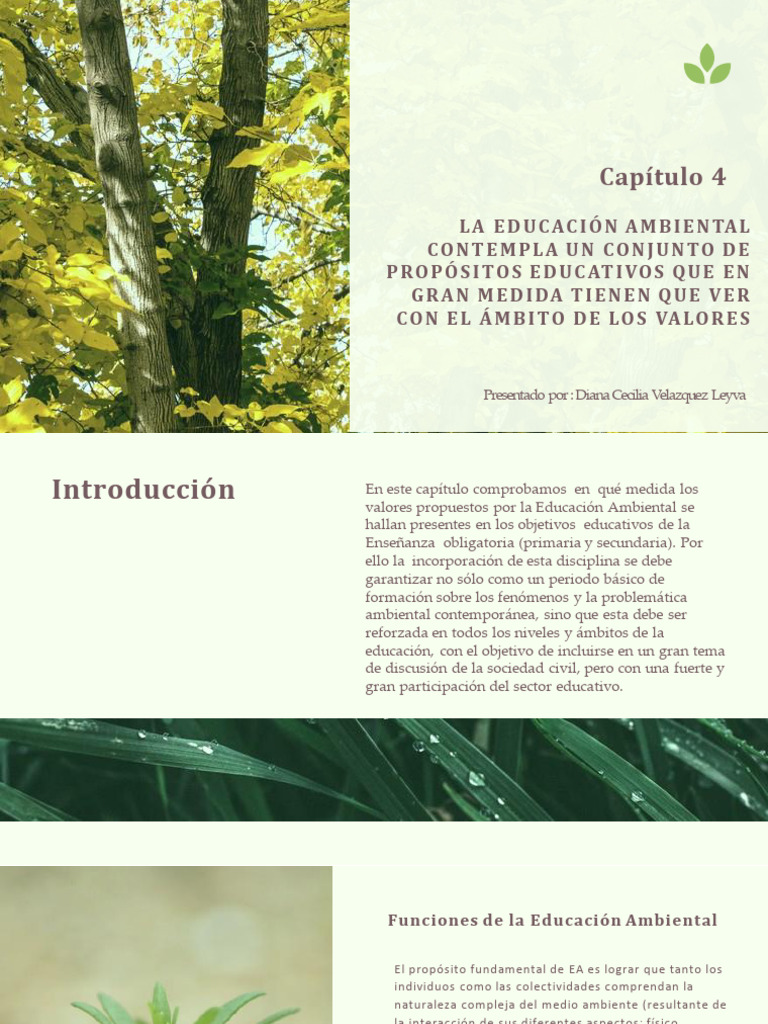 Capítulo 4 | PDF | Aprendizaje | Entorno natural