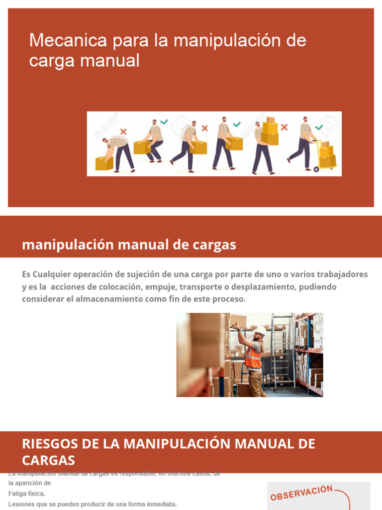 Manipulación de Cargas | PDF