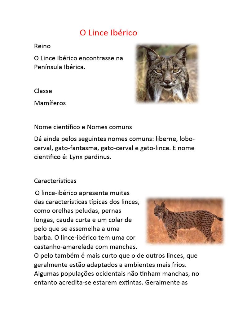 O Lince Ibérico | PDF | Ciências e Matemática | Ficção Geral