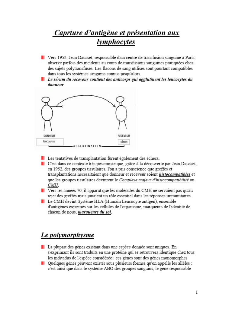 Polycope Immunologie 2 | PDF