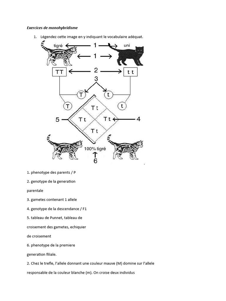 Exercices corrigés de monohybridisme | PDF | Dominance (Génétique ...