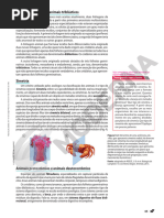 Simetria Corporal em Animais | PDF | Sistema nervoso | Corpo humano