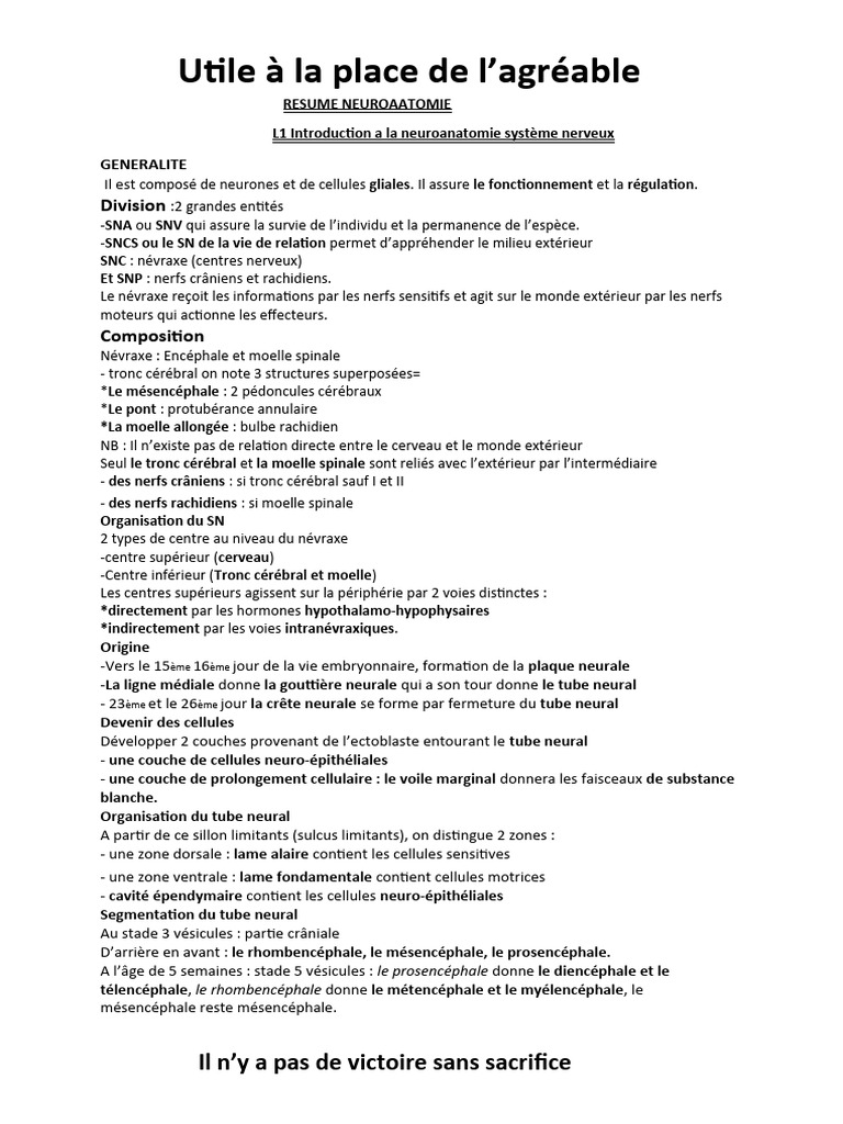 Lame Tectale et Cerveau: Anatomie | PDF