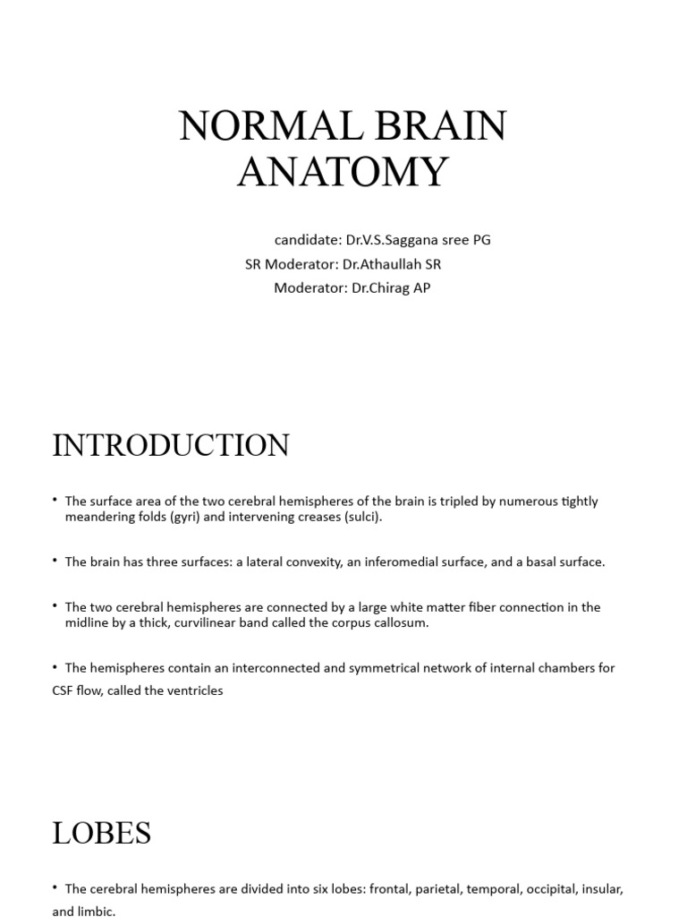Normal Brain Anatomy | PDF | Corpus Callosum | Parietal Lobe