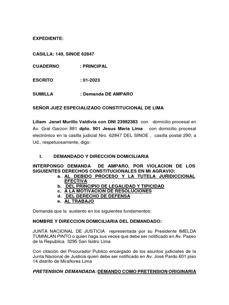 Amparo Liliam Murillo JNJ | PDF