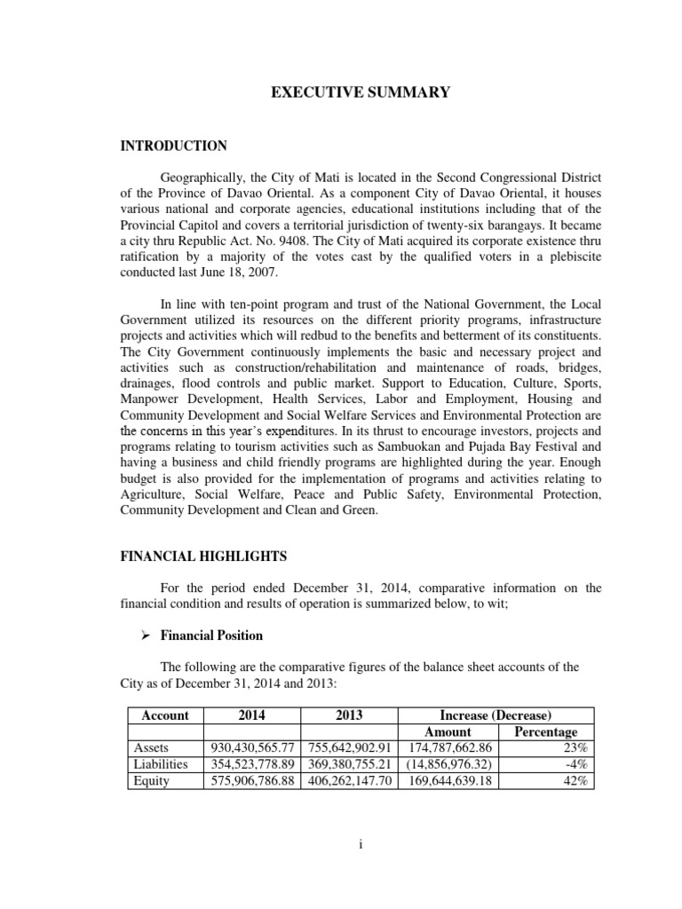 Mati City Executive Summary 2014 | PDF | Expense | Income