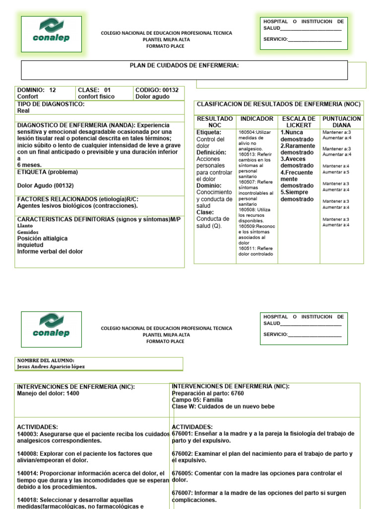 Formato Place | PDF | Parto | Dolor