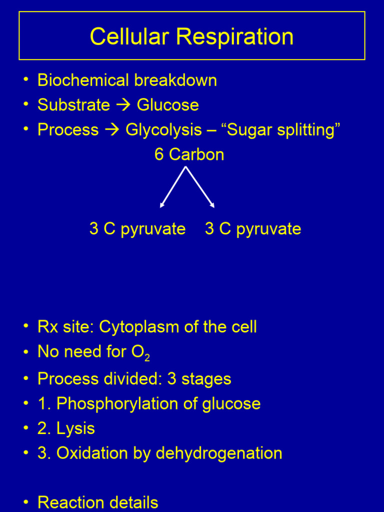 Cellular Respiration | PDF | Cellular Respiration | Adenosine Triphosphate