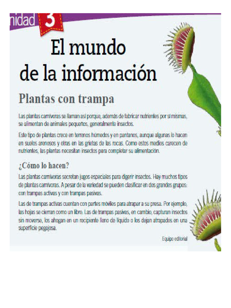 Textos Informativos Clase Ejemplos | PDF