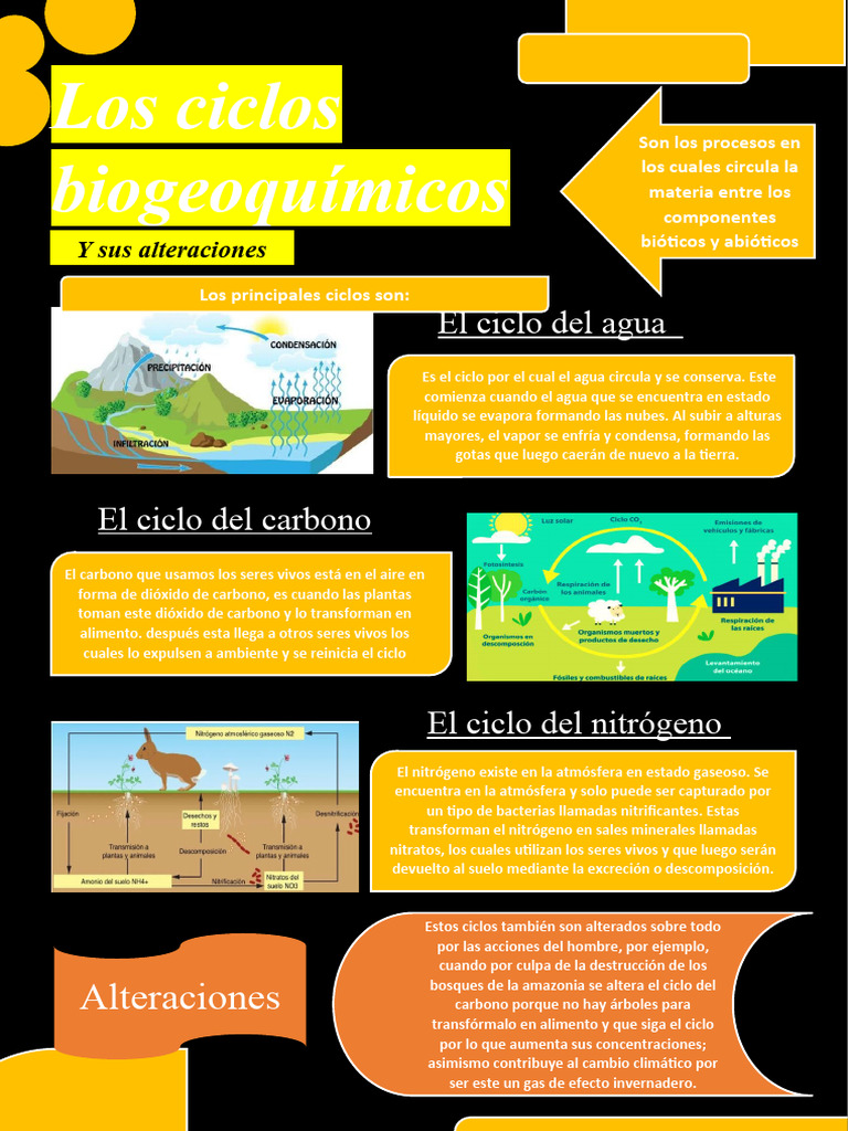 Infografía DE LOS CICLOS BIOGEOQUIEMICOS | PDF