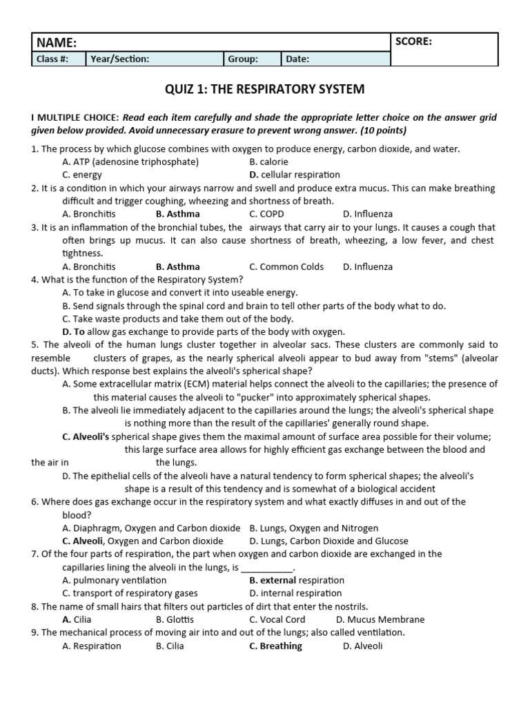 Grade 9 Respiratory System Quiz | PDF