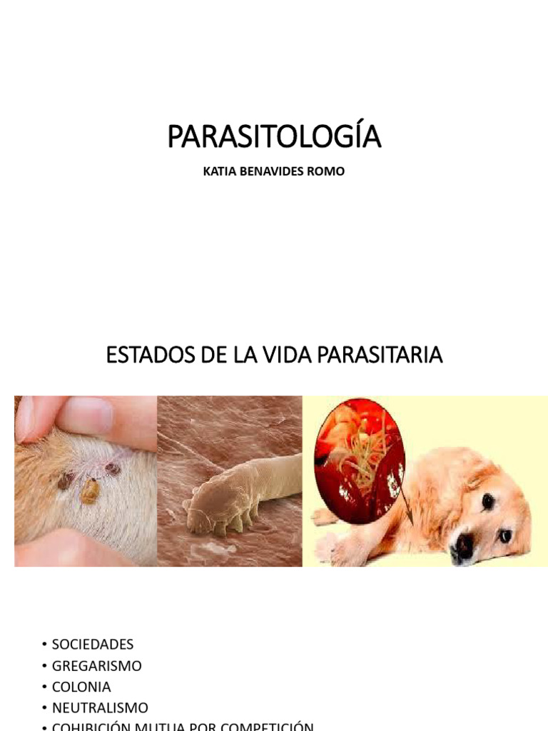 Tipos y Ciclos de Vida de Parásitos | PDF | Parasitismo | Interacciones ...