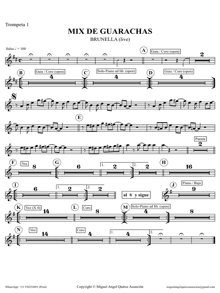 BRUNELLA TORPOCO - MIX DE GUARACHAS (Live) | PDF | Las artes escénicas