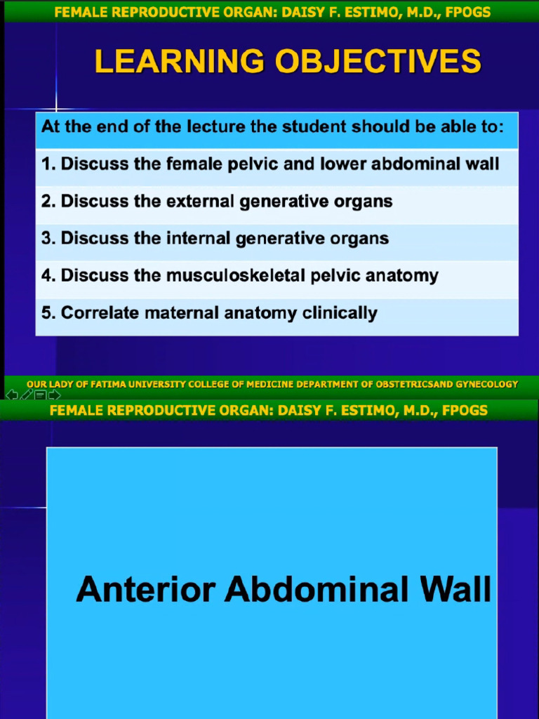 OB Anatomy | PDF