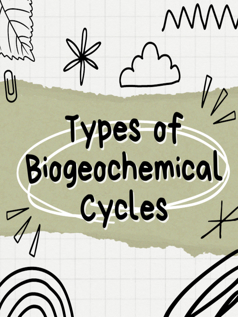 Types of Biogeochemical Cycles | PDF