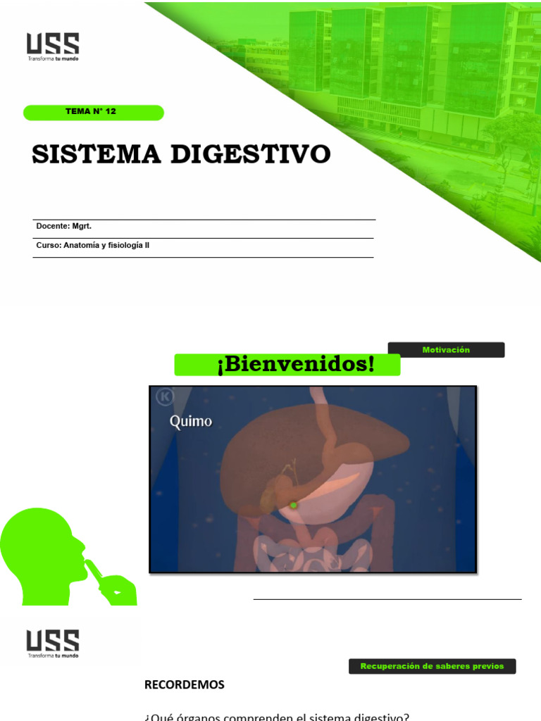 SISTEMA DIGESTIVO.ppt | PDF | Sistema digestivo humano | Digestión