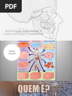 Tabela de KV e Mas | PDF | Membros (anatomia) | Sistema Locomotor