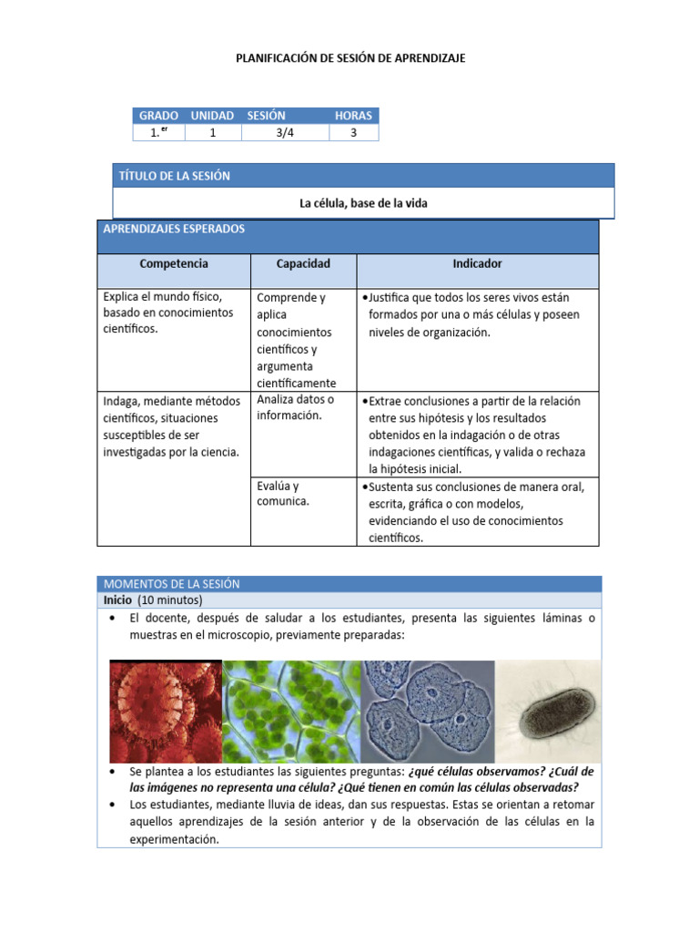 CTA1_U1-SESION3 | PDF | Citoplasma | Biología Celular)