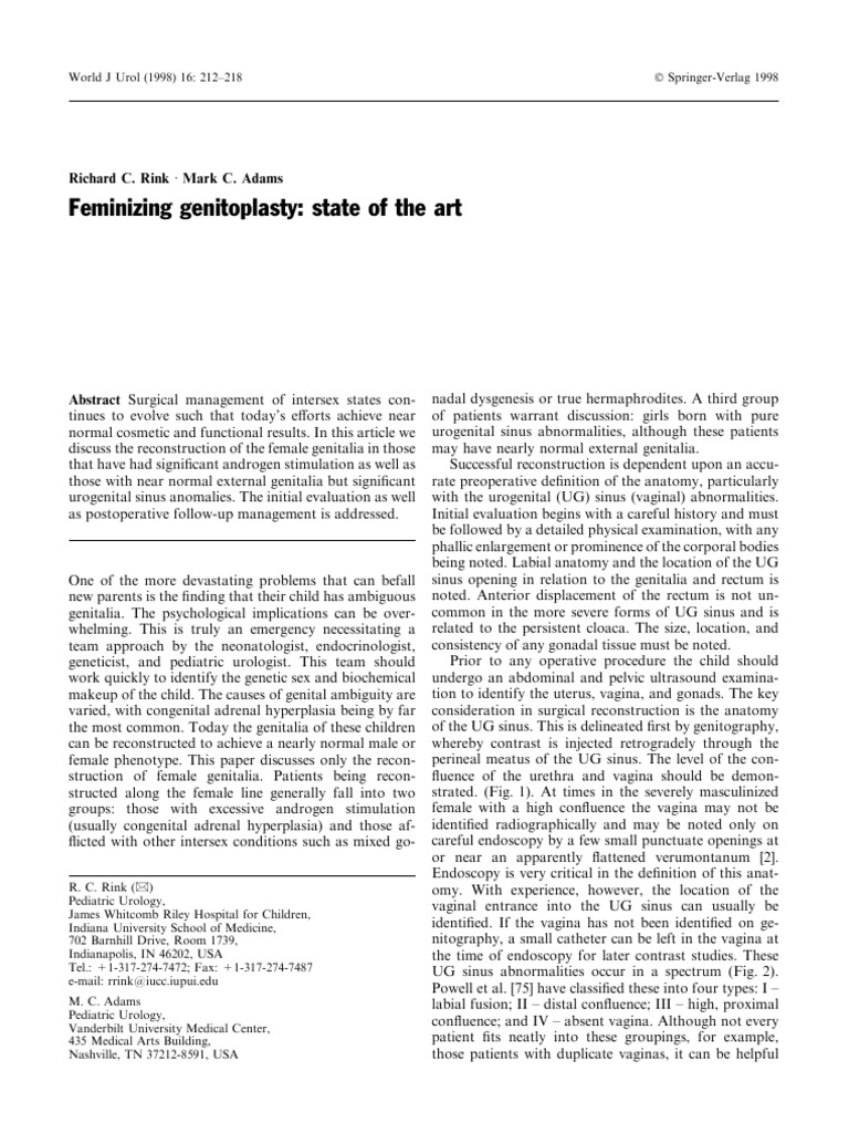 Feminizing Genitoplasty: State of The Art | Download Free PDF | Vagina ...