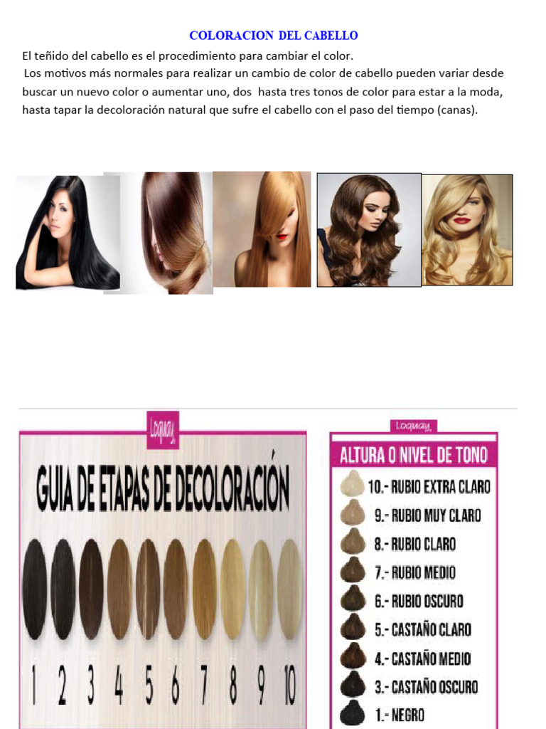 GUIA 5 DECOLORACION | PDF | Alergia | Pelo