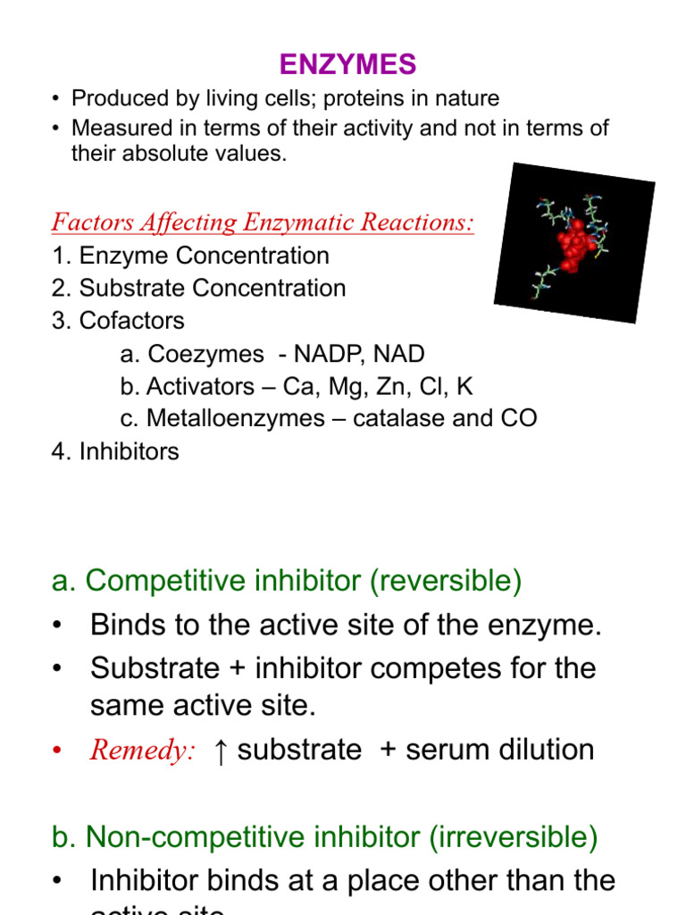 Enzymes | PDF | Enzyme | Enzyme Inhibitor