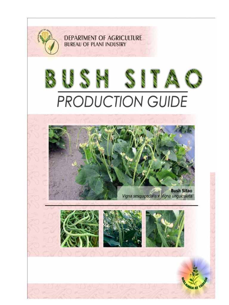 Bush Sitaw: Cultivation and Management Guide | PDF