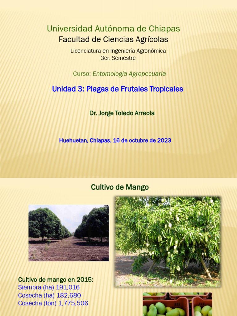 Unidad 3 Plagas de Frutales Tropicales 16 10 2023 | PDF | Control ...
