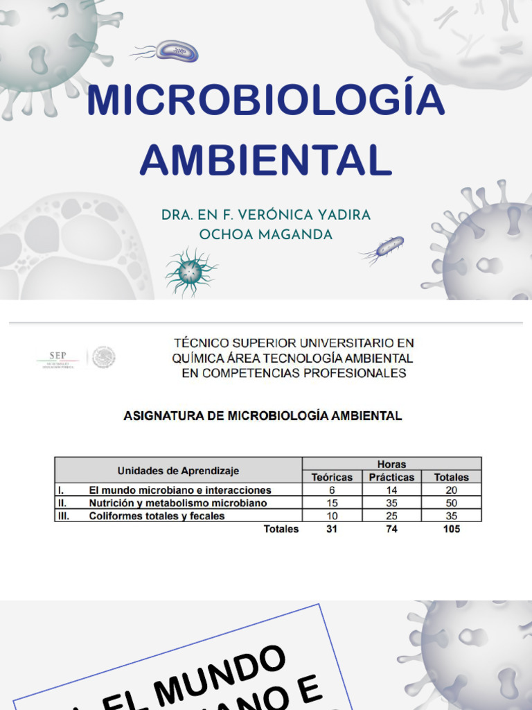 i. El Mundo Microbiano e Interacciones | PDF | Microbiología | Hongo