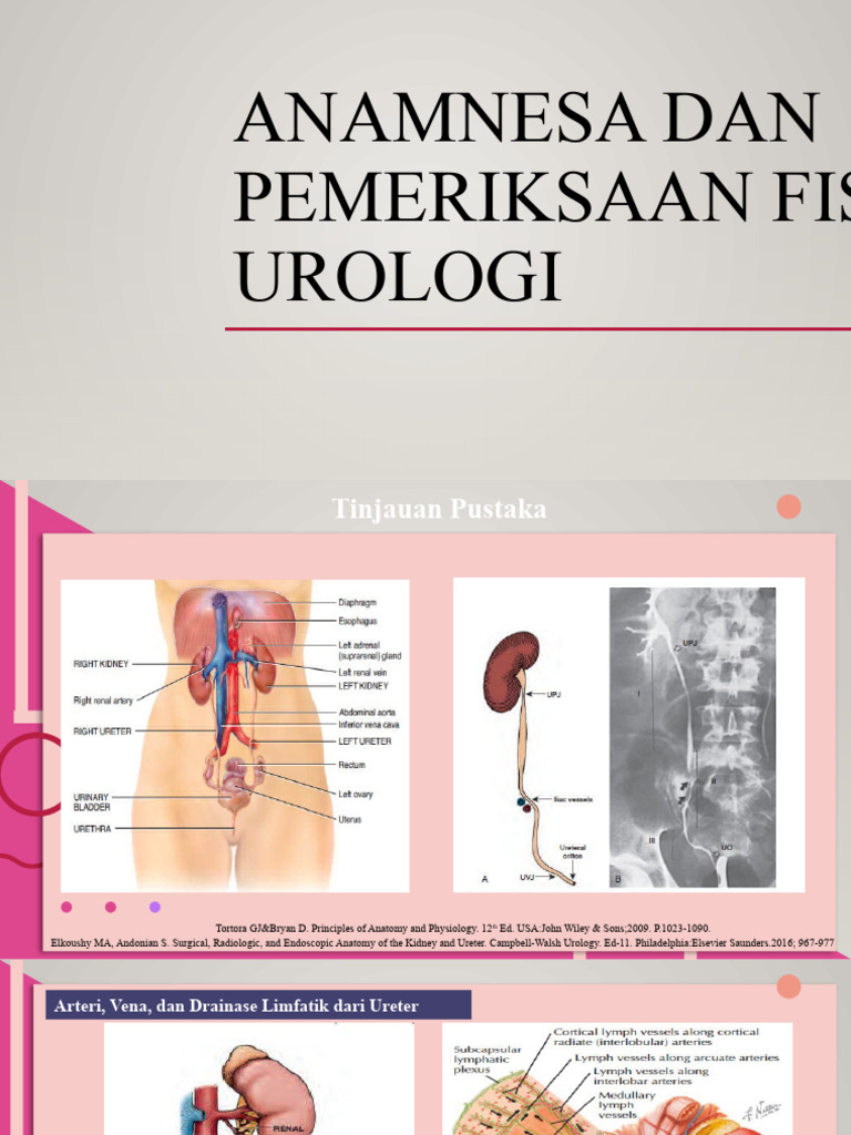 Pemeriksaan 20 Urologi | PDF