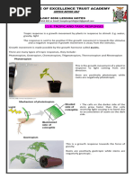 Plant Responses to Environmental Stimuli | PDF | Plants | Biology