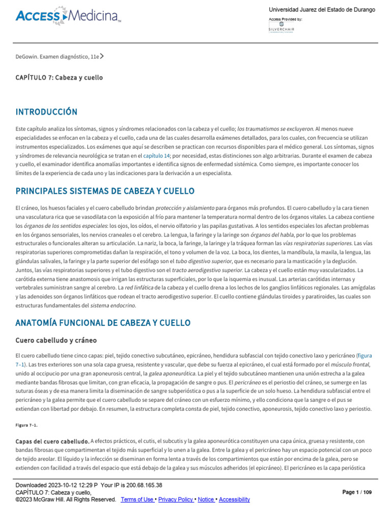 CAPÍTULO 7 - Cabeza y Cuello | PDF | Laringe | Nariz humana