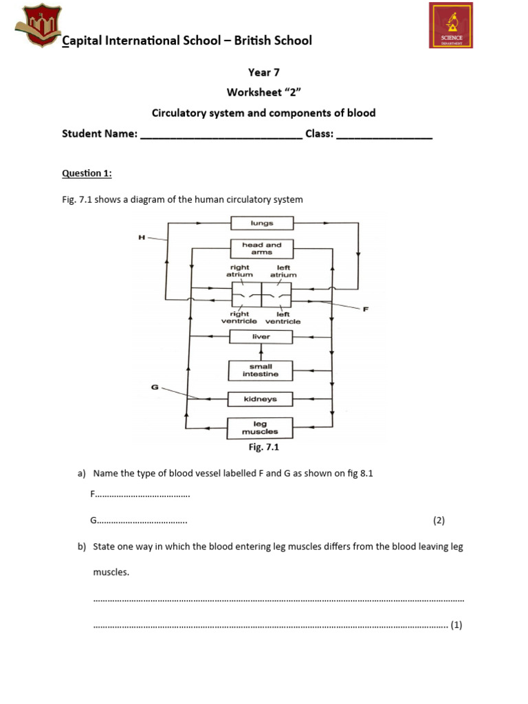 Circulatory System - Part 2 | PDF