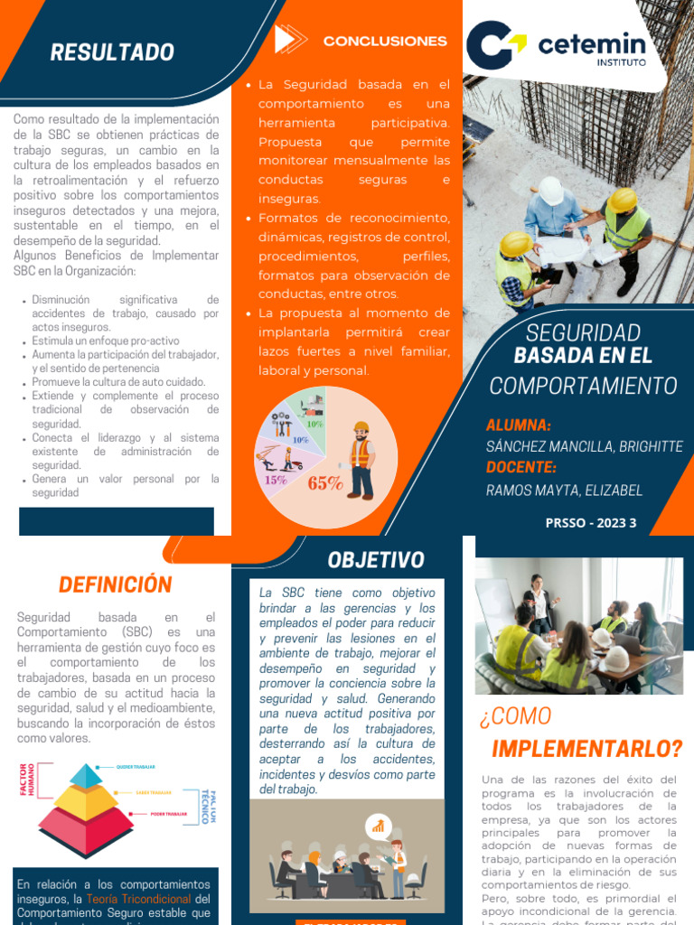 Seguridad Conductual Participativa | PDF | Negocios
