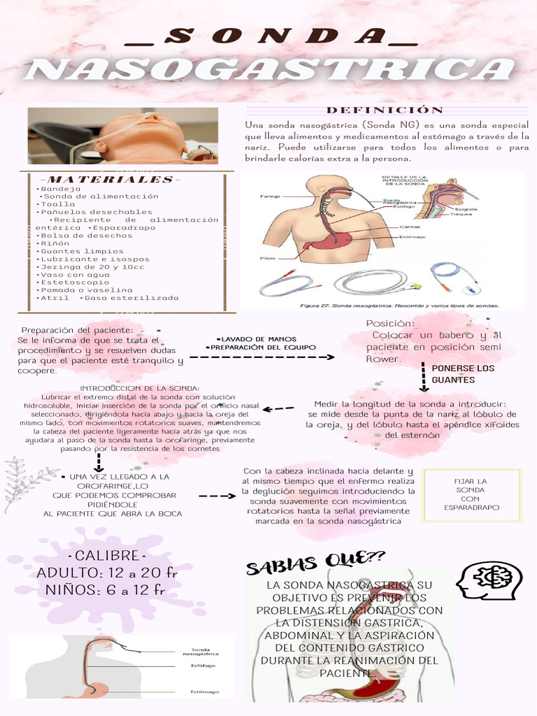 Danitza Ruiz Infografía | PDF