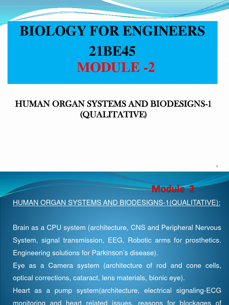 Biology For Engineers Module 2 | PDF | Central Nervous System ...