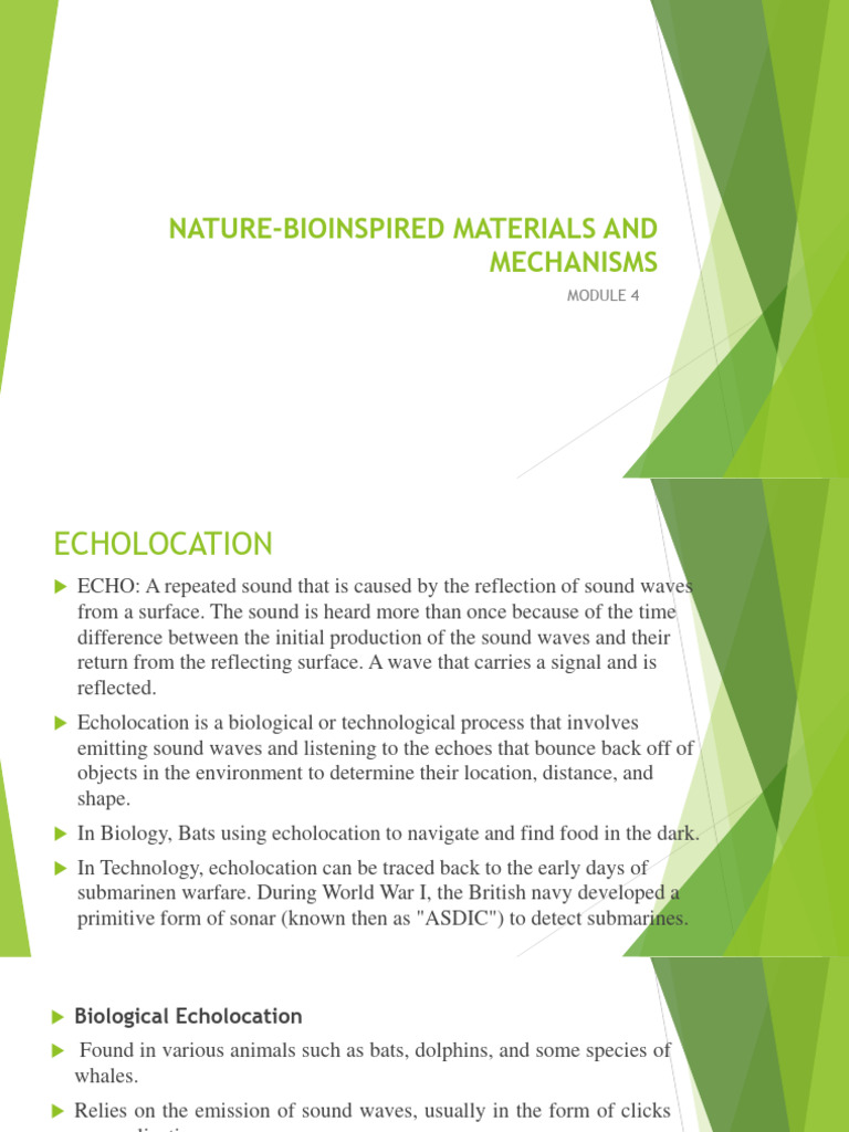 Biology For Engineers Module 3 | PDF | Photosynthesis | Sonar