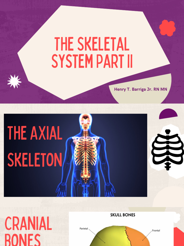 Skeletal System Part II | PDF Skeletal System Part II | PDF