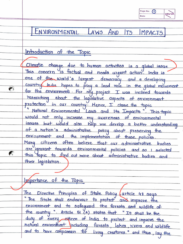 PROJECT 01 Environmental Laws and Its Impact | PDF