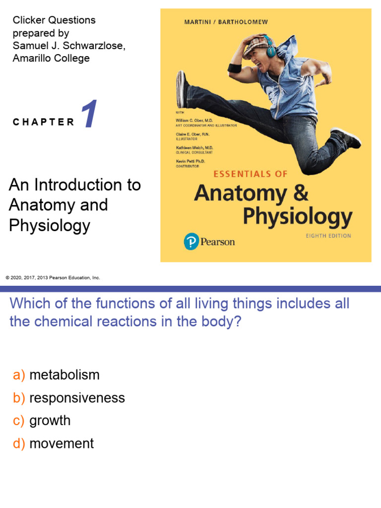 Clicker Questions on Anatomy & Physiology | PDF | Homeostasis | Cell ...