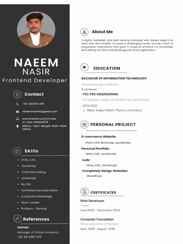 Professional CV Resume | PDF