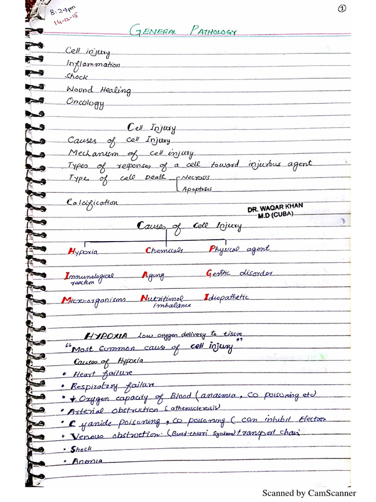 General Pathology | PDF