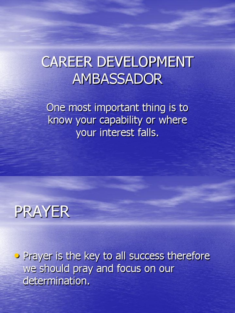 Career Development Strategies and Motivation | PDF