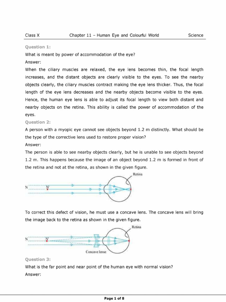 STD 10 Science Ch 10 Exercise PDF