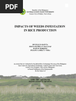 Crop Yield Loss Assesment | PDF