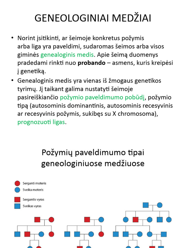 Geneologiniai Medziai | PDF