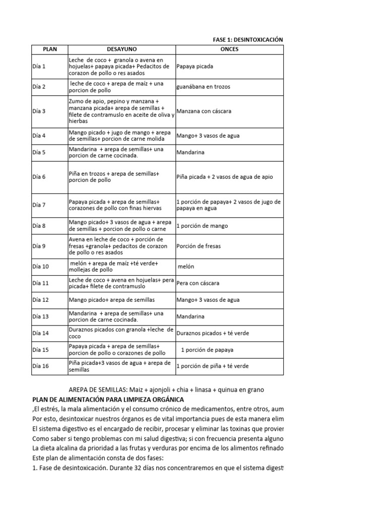 Plan de Desintoxicacion | PDF