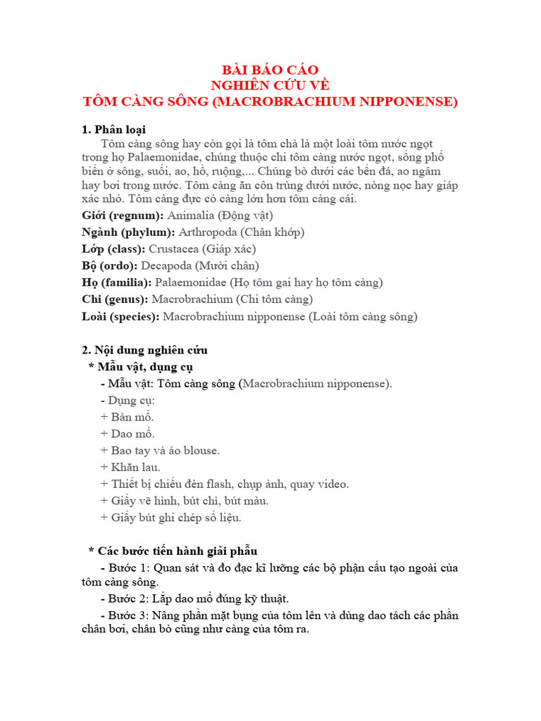 Bài Báo Cáo 1 | PDF