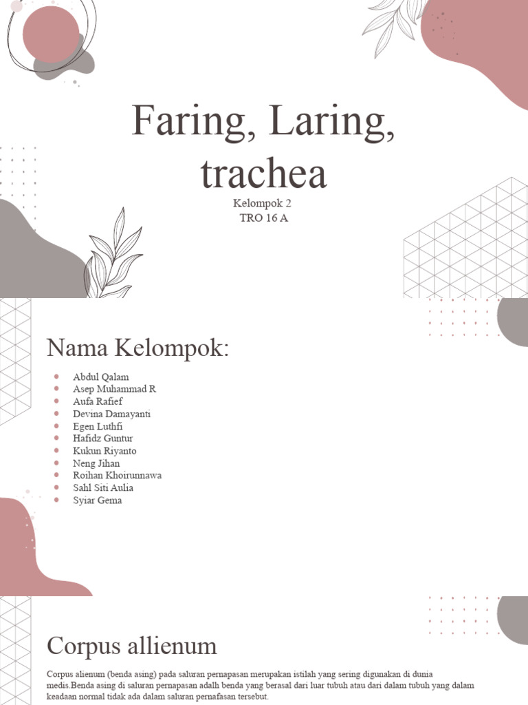 Kel 2. Corpus Alineum Laring Faring Trakea | PDF