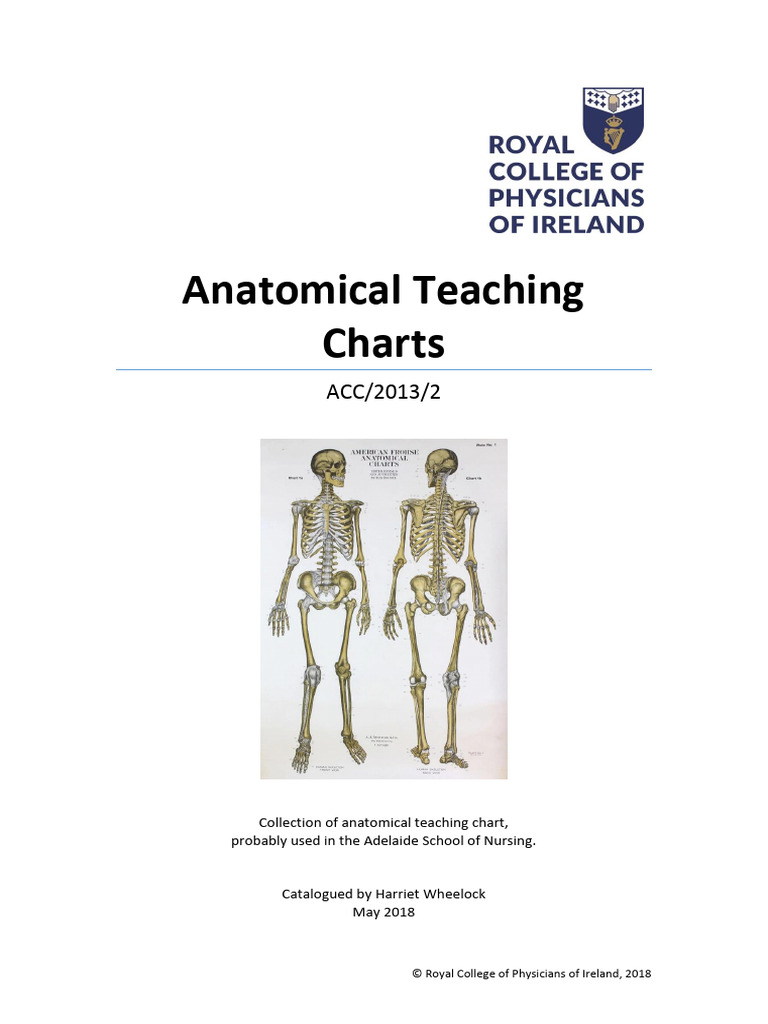Anatomical Teaching Charts | PDF | Human Body | Anatomy